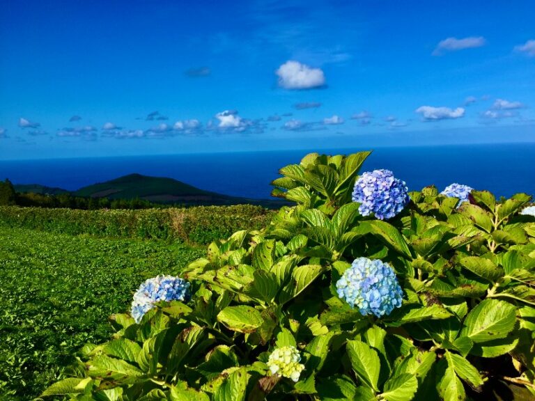 Hvornår skal man rejse til Azorerne? – Rejsetossen